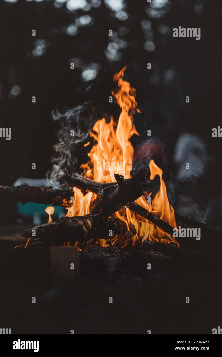 Back view of unrecognizable person in white shirt started bright ...