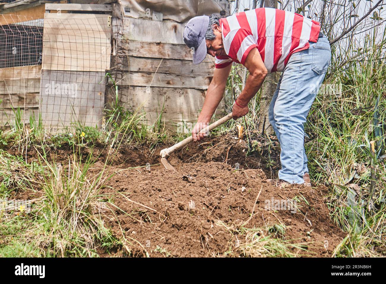 Side view gardener in process hi-res stock photography and images - Alamy