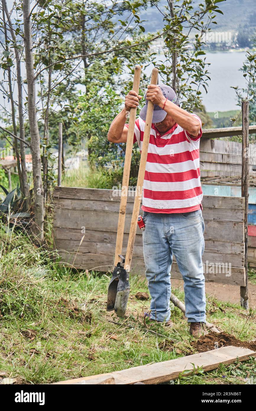 Full body of mature Latin American male farmer in casual clothes using ...
