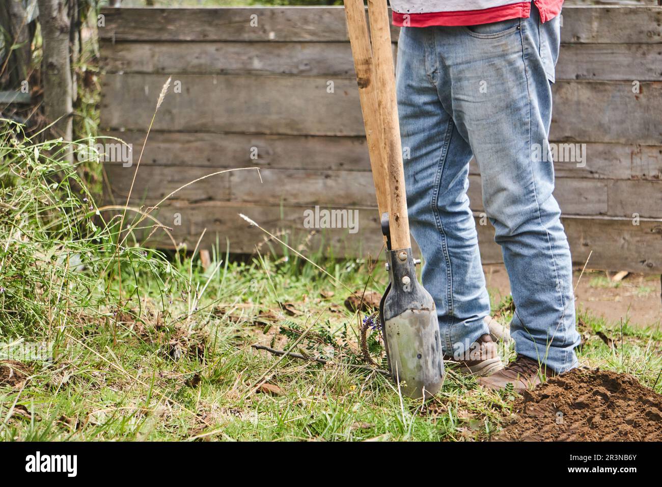 Side view of crop unrecognizable male farmer standing on grassy field ...