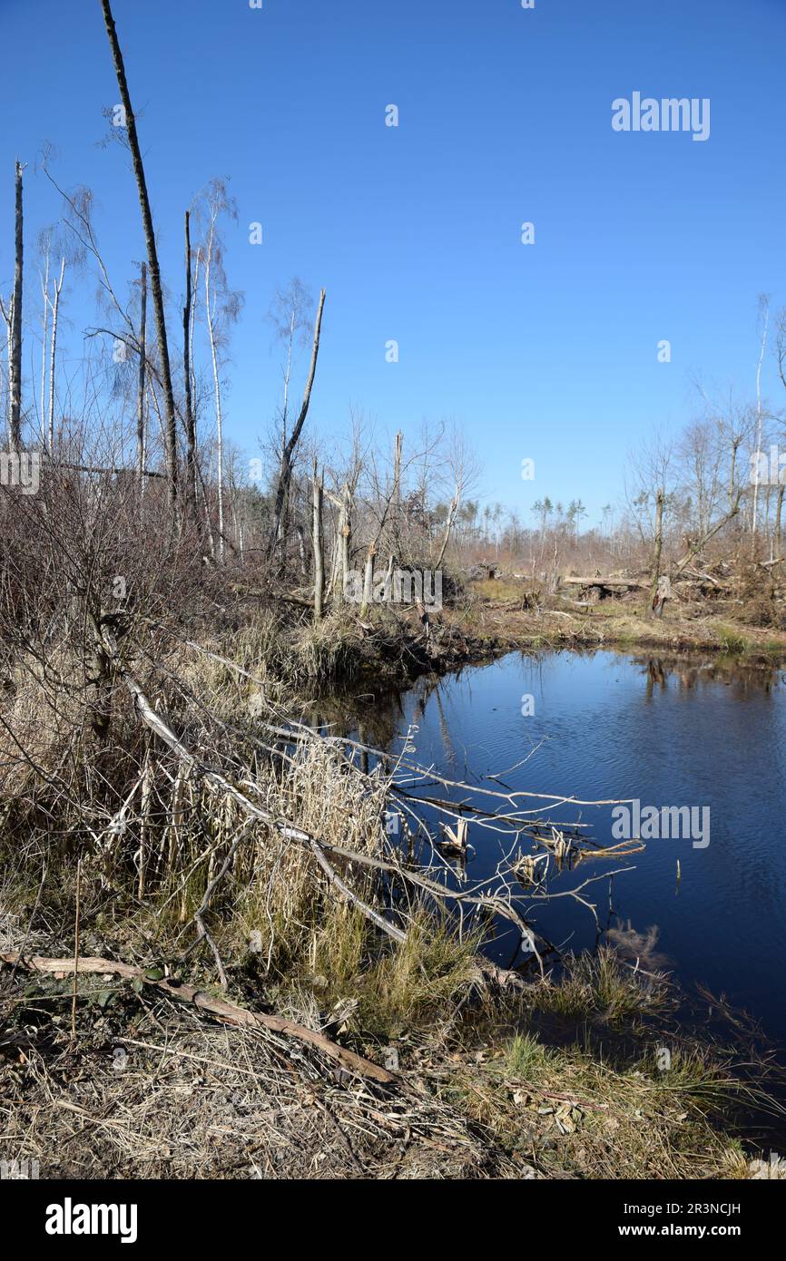 Rodgau hi-res stock photography and images - Alamy