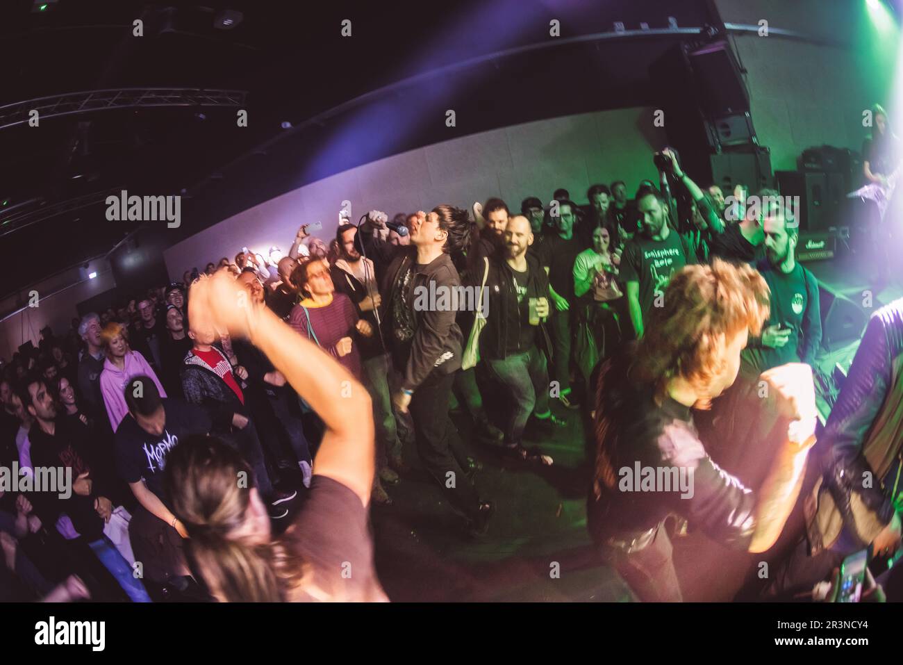 Bad breeding band hi-res stock photography and images - Alamy