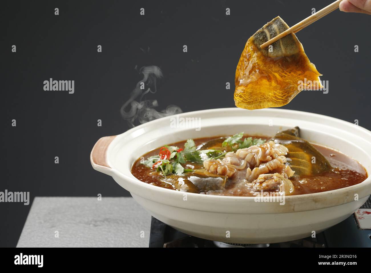 Chinese food, Braised Turtle in Brown Sauce,Soft-shelled turtle with ...