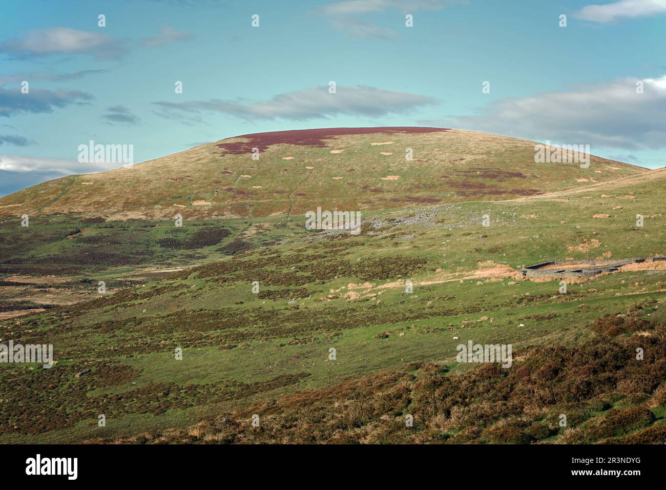 Summit in the carneddau range hi-res stock photography and images - Alamy