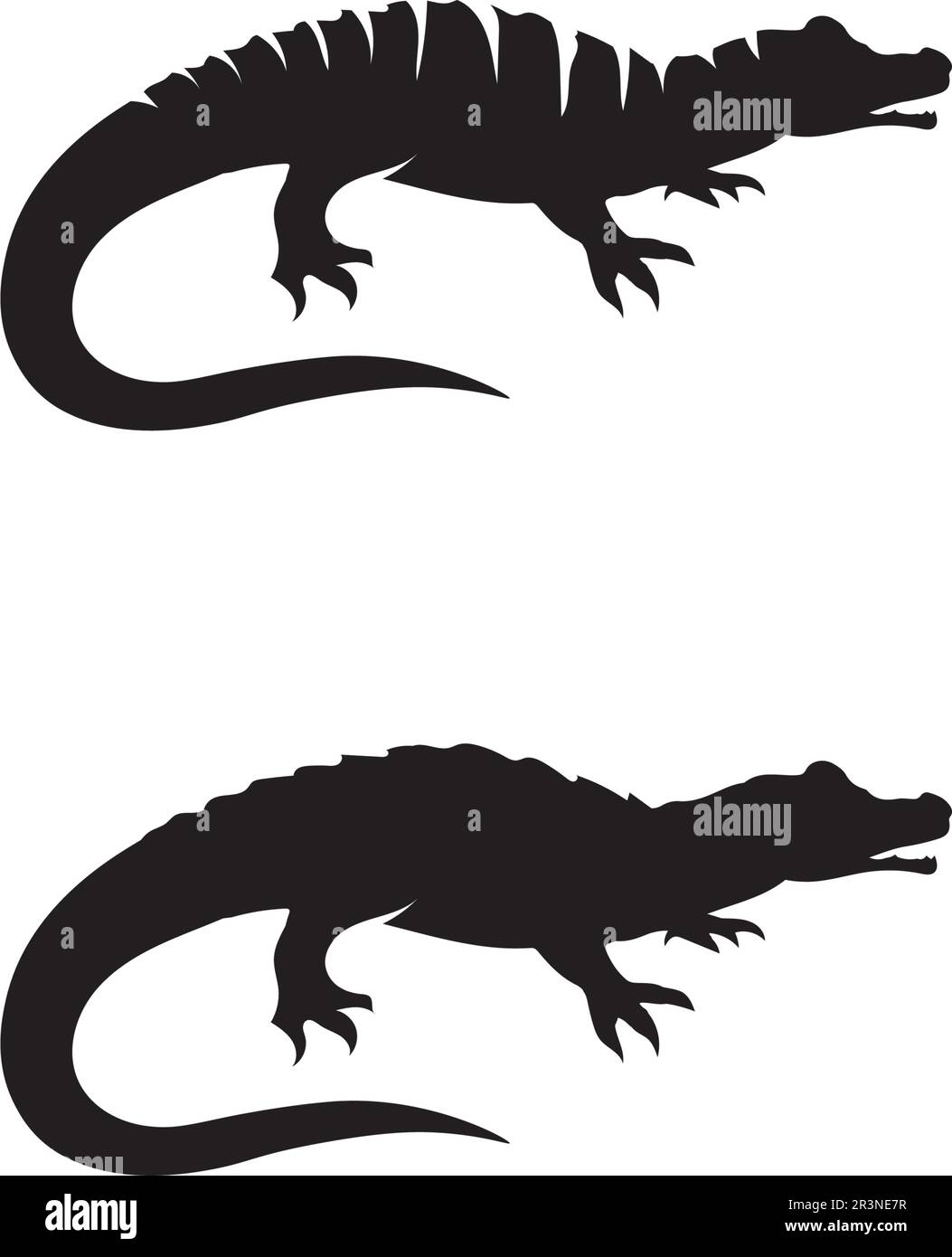 Lizard vector, design, animal, and reptile, gecko Stock Vector Image ...