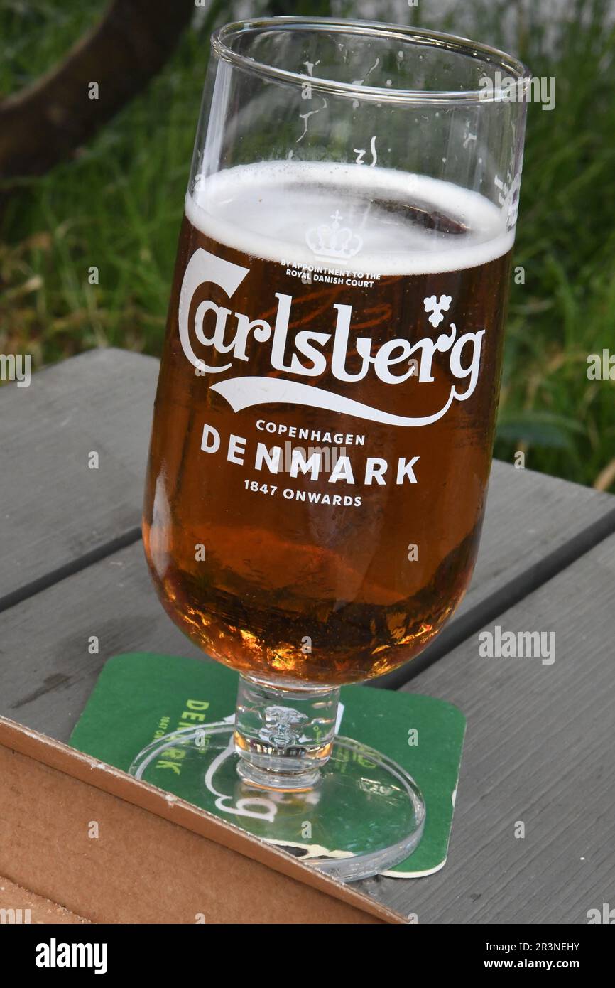 24 May 2023/Danish carlsberg draft beer in Kastrup Copenhagen Denmark ...