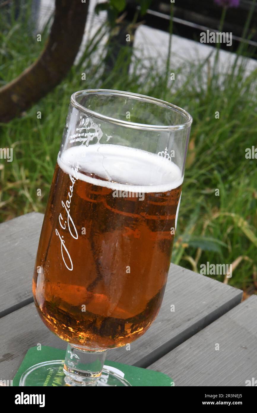 24 May 2023/Danish carlsberg draft beer in Kastrup Copenhagen Denmark ...