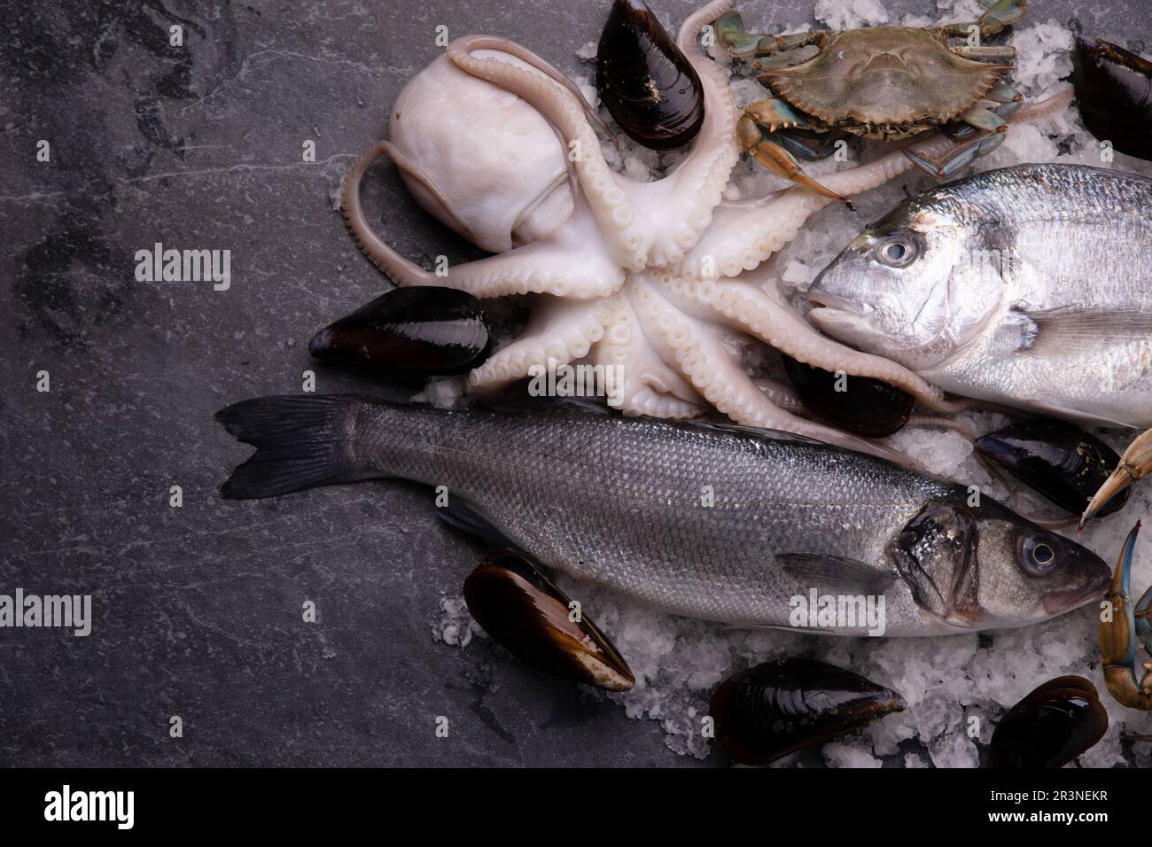 Fresh fish and seafood arrangement Stock Photo - Alamy