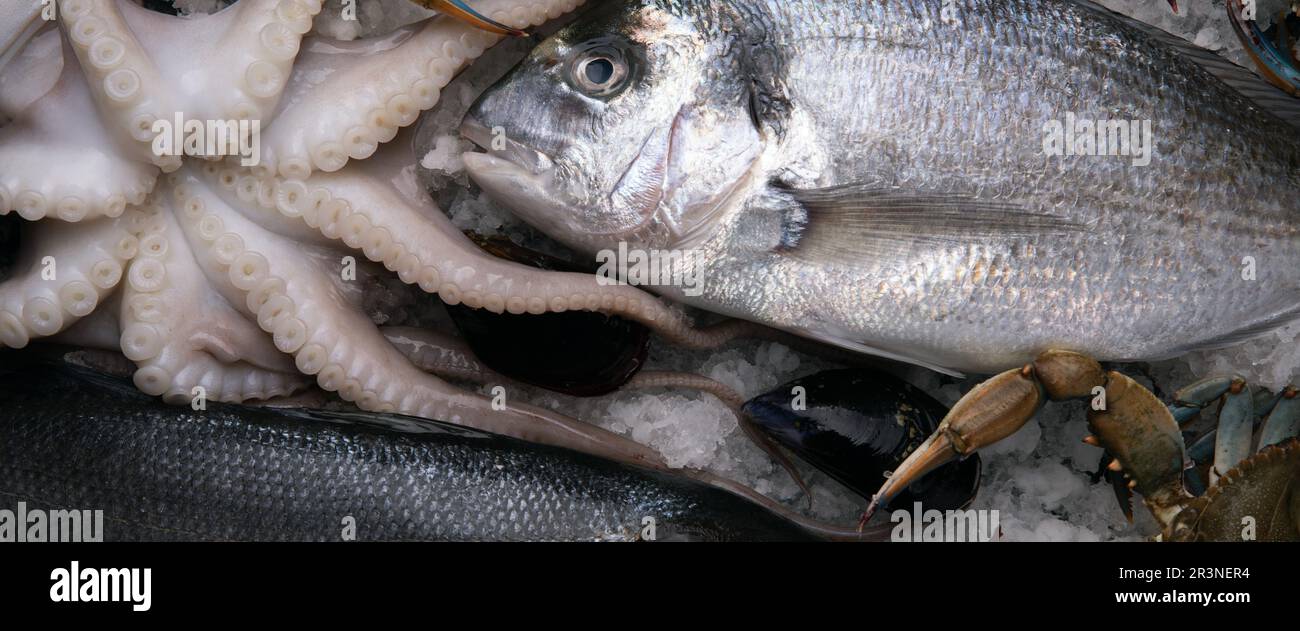 Catch of fish hi-res stock photography and images - Alamy