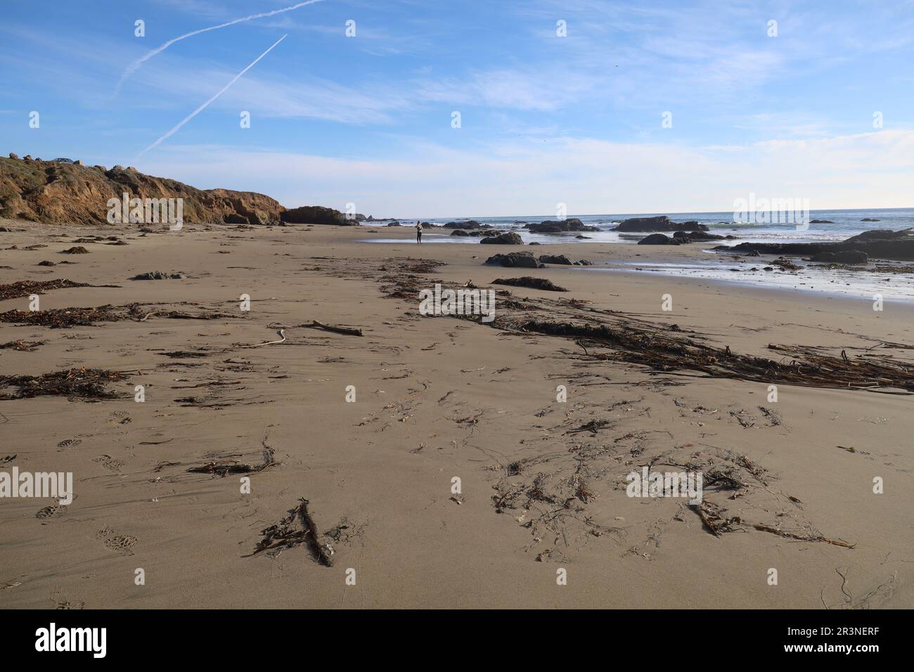 San simeon beach hi-res stock photography and images - Alamy