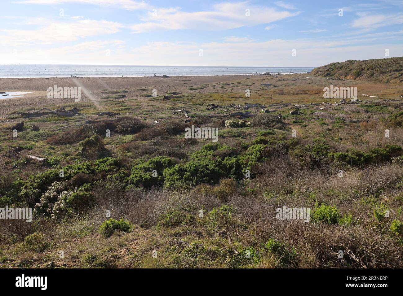 San simeon beach hi-res stock photography and images - Alamy