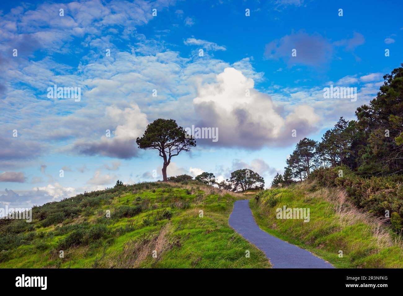 Cove trees green tourism tourist hi-res stock photography and images ...