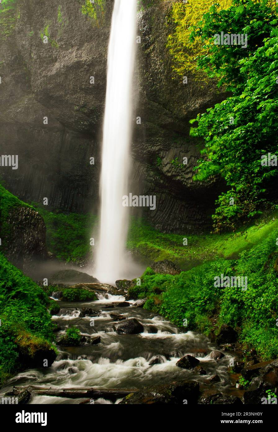 Oregon Silver Falls waterfall flowing into a river Stock Photo - Alamy