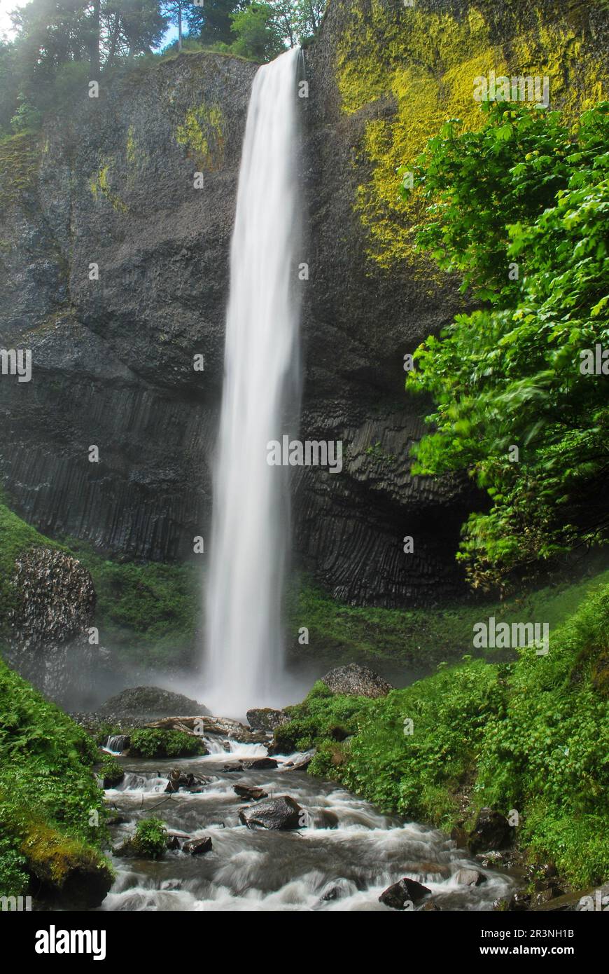 Oregon Silver Falls waterfall flowing into a river Stock Photo - Alamy