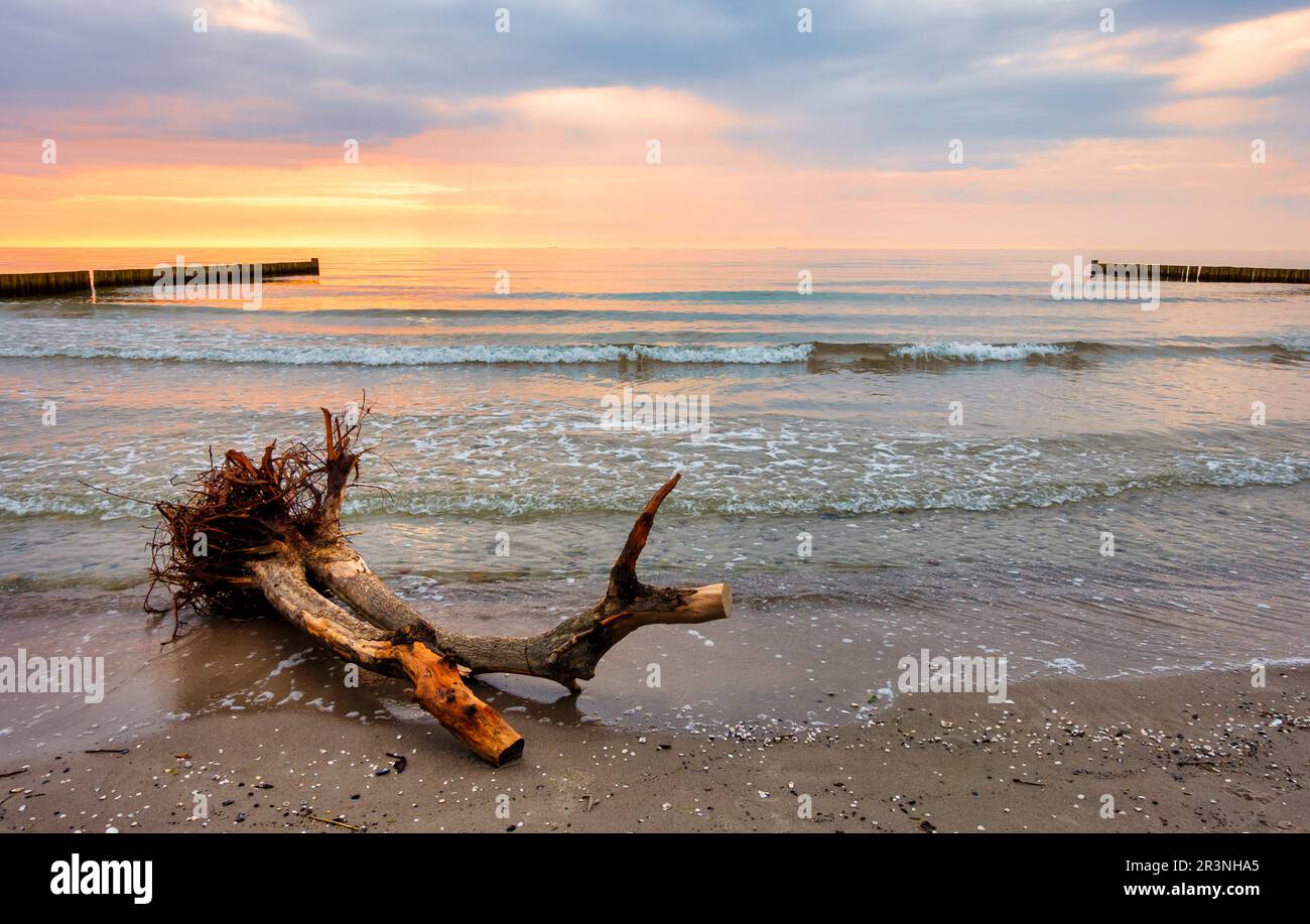 Atmospheric sunset on beach baltic sea Stock Photo - Alamy