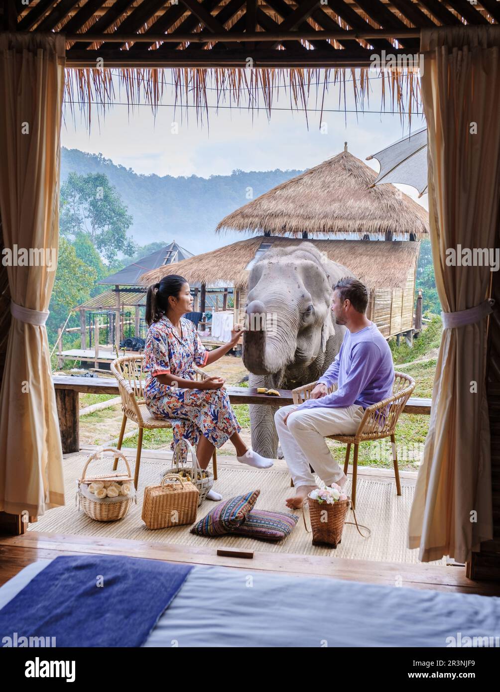 Couple visiting a Elephant sanctuary in Chiang Mai Thailand, Elephant farm in the mountains ...