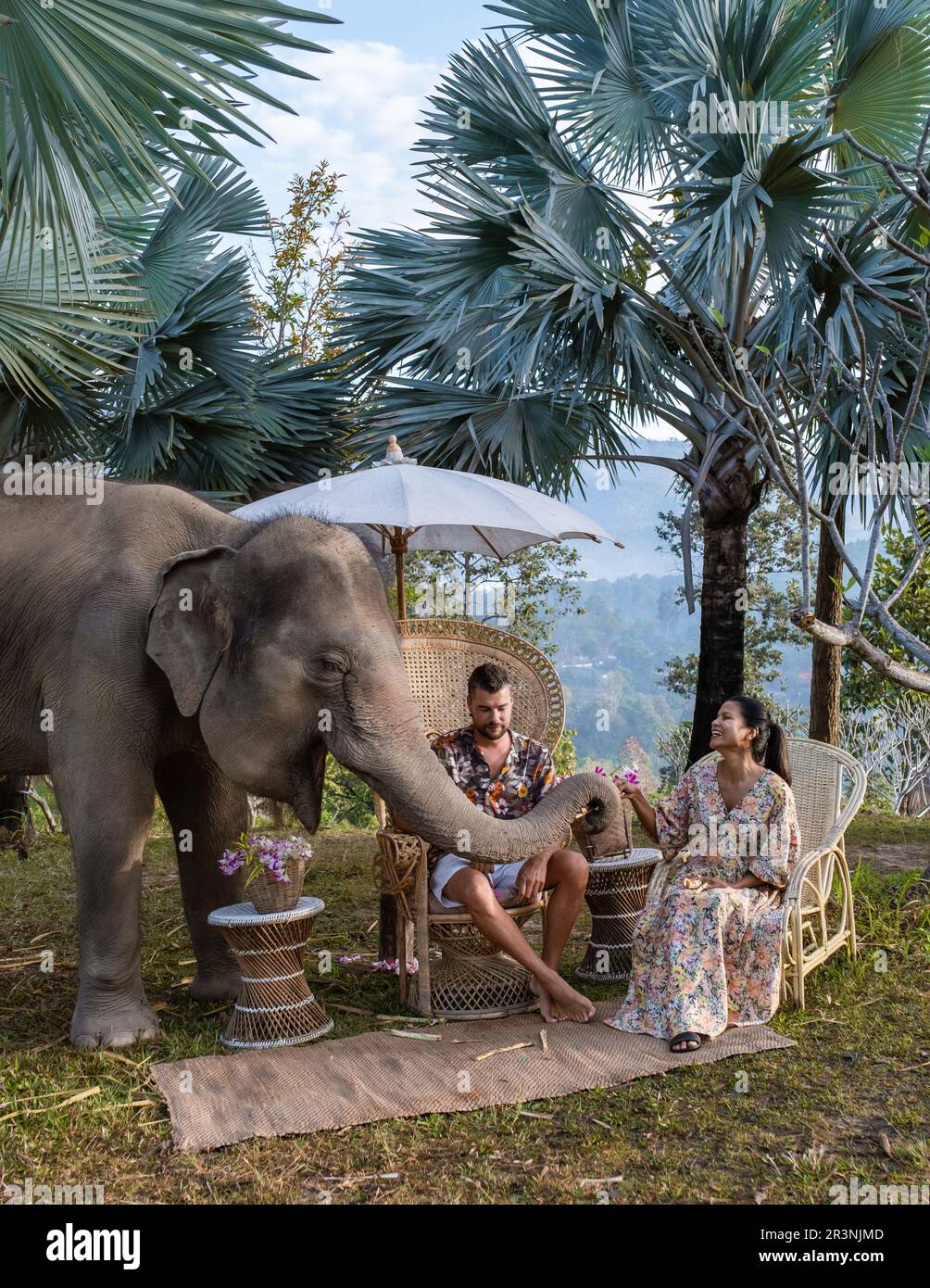 Couple visiting a Elephant sanctuary in Chiang Mai Thailand, Elephant ...