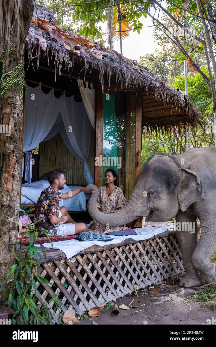 Couple visiting a Elephant sanctuary in Chiang Mai Thailand, Elephant ...