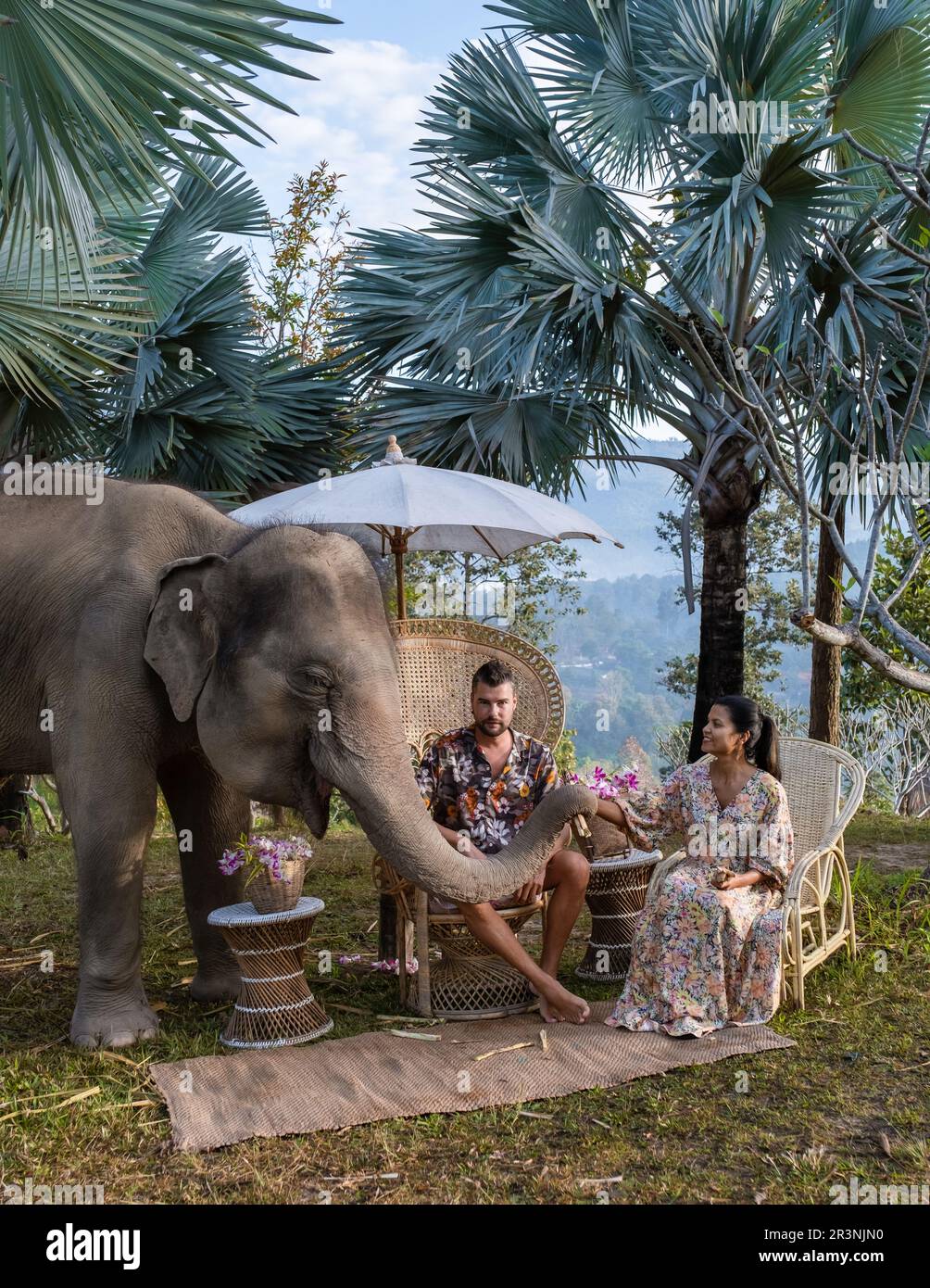 Couple visiting a Elephant sanctuary in Chiang Mai Thailand, Elephant ...