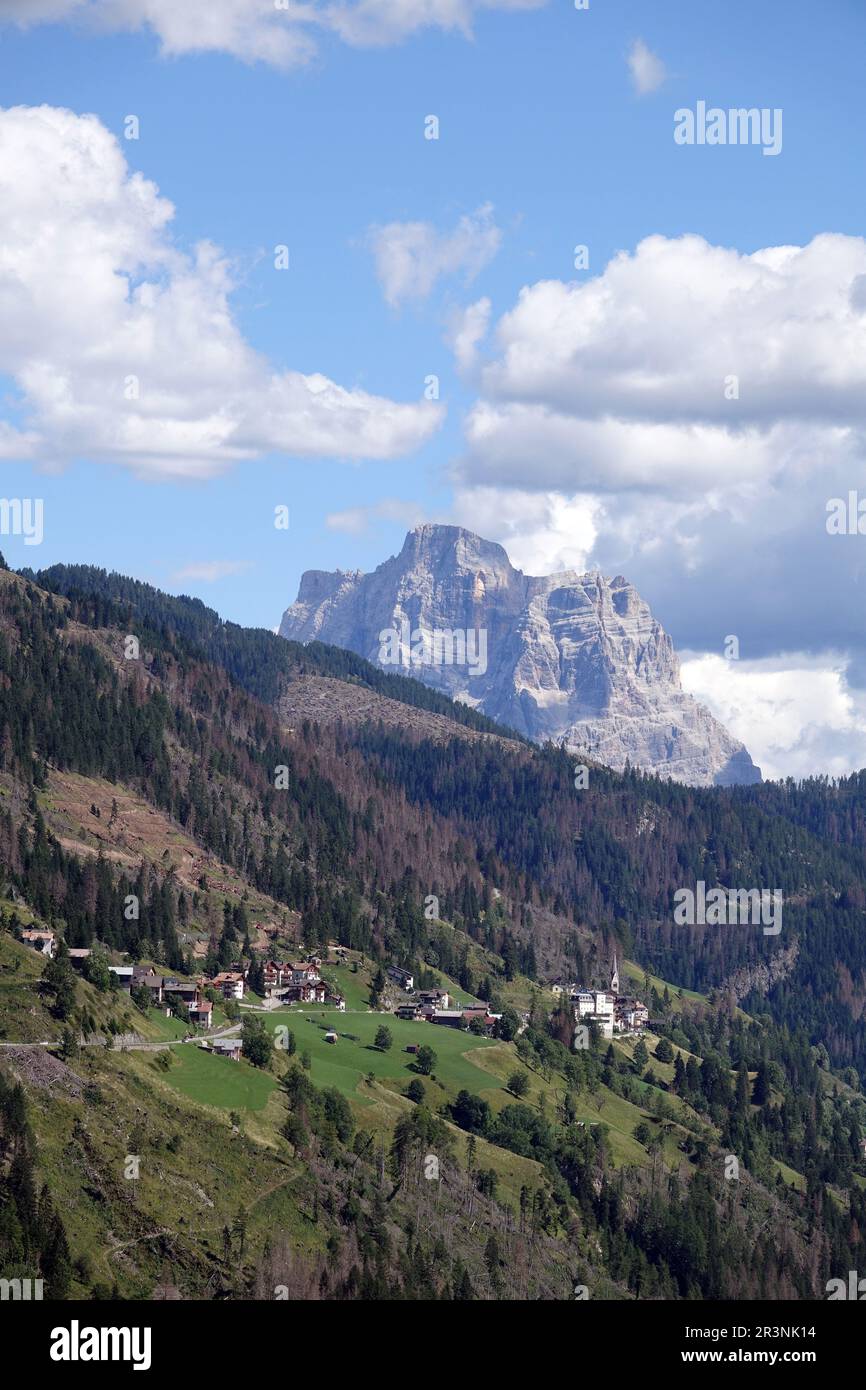 Pelmogruppe hi-res stock photography and images - Alamy