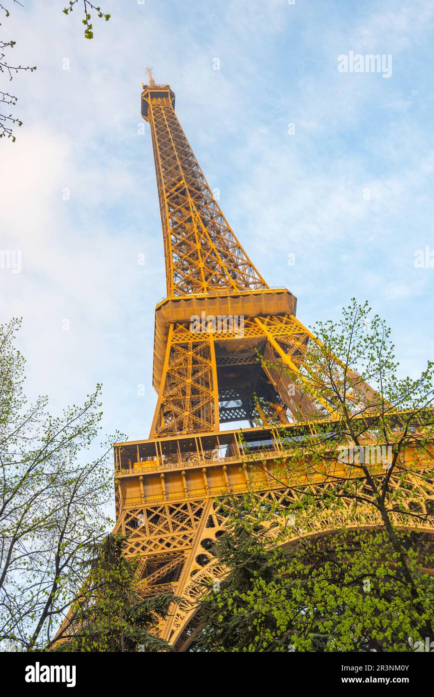 Morning view of Eiffel Tower from bottom. Paris, France Stock Photo - Alamy