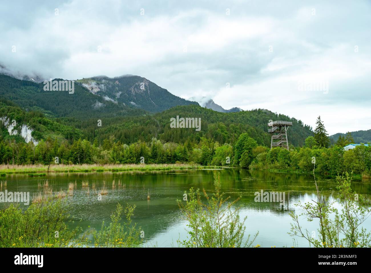 View over the bird sanctuary with observation tower in Pflach, Austria ...