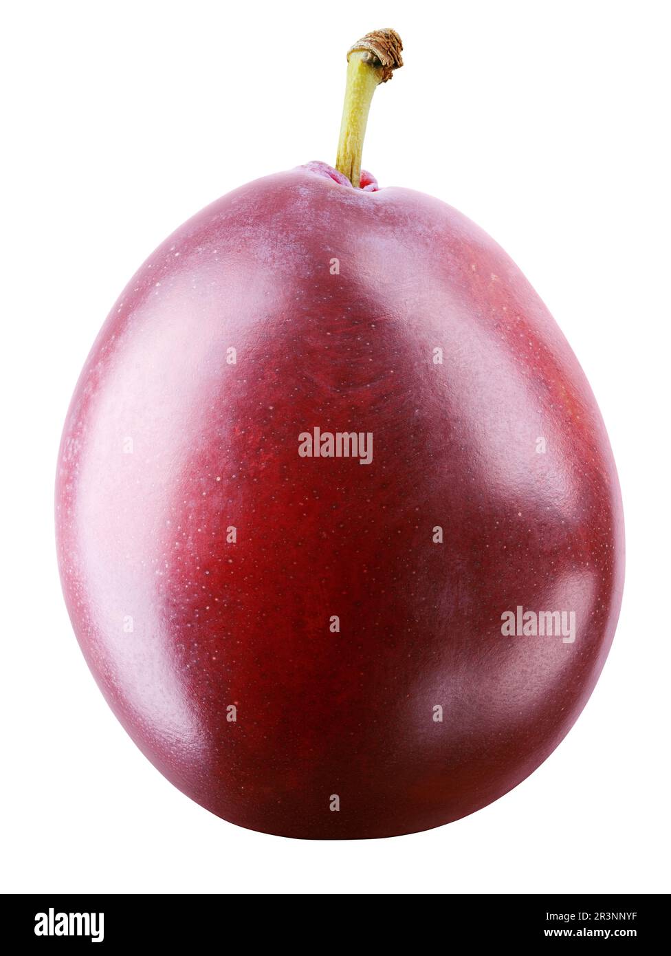Red plum isolated on white background with clipping path. Full depth of ...