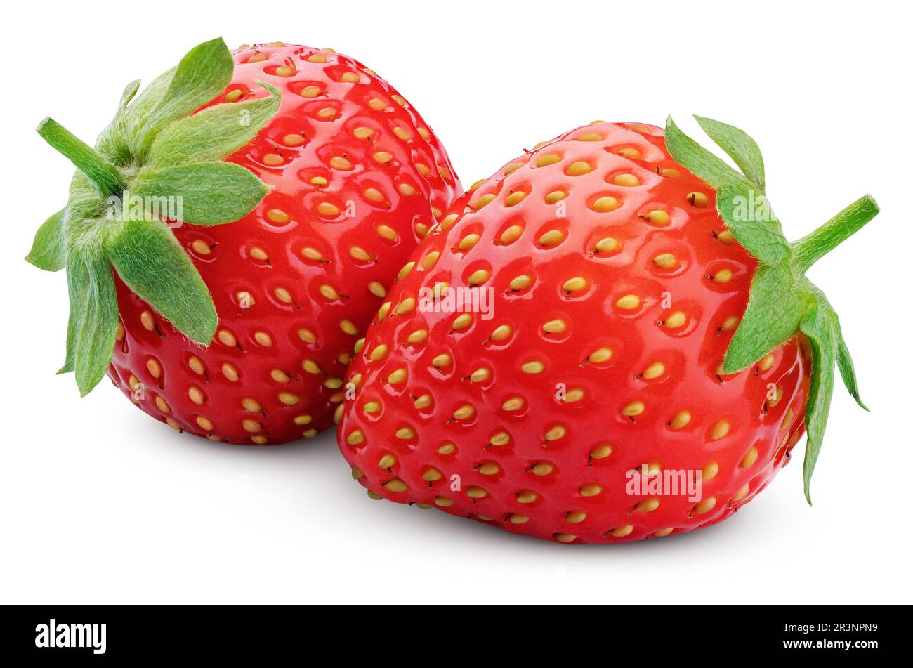 Two strawberries isolated on white background with clipping path. Full ...