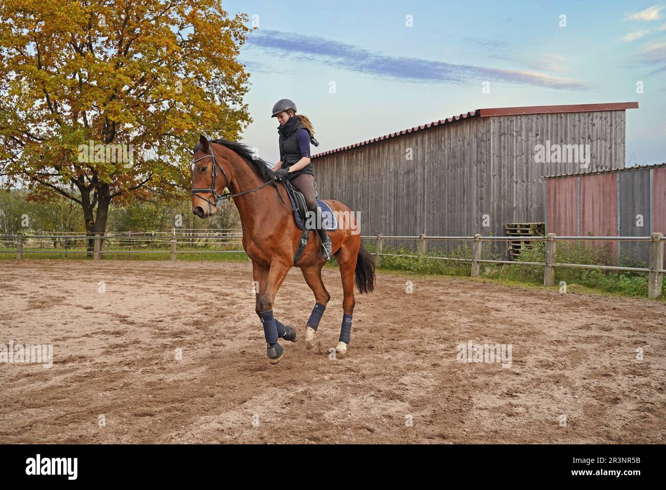 Rider training hi-res stock photography and images - Alamy