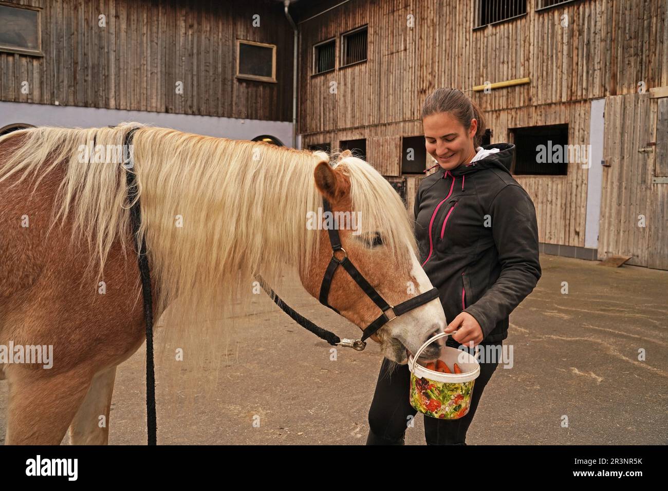Best friends - light brown Haflinger with beige mane and her rider ...