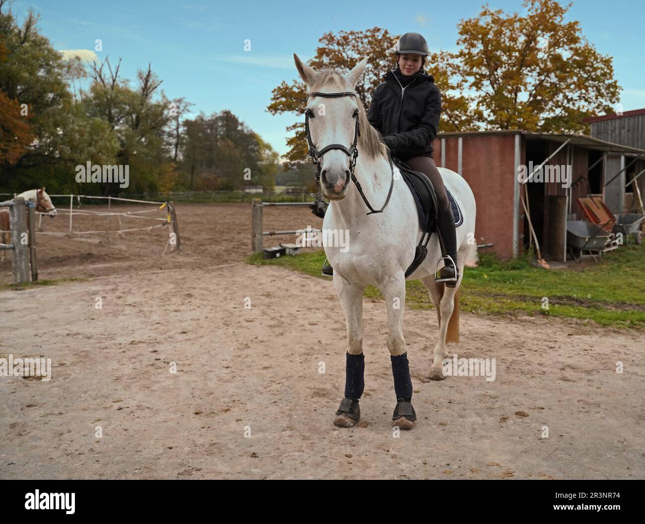 Horse riding on training ground hi-res stock photography and images - Alamy