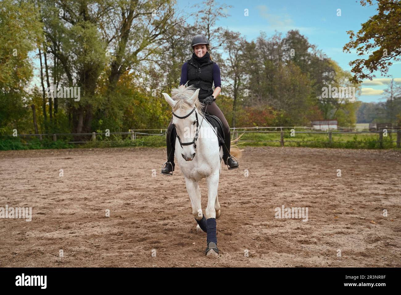 White horse and rider training on a riding ground Stock Photo - Alamy