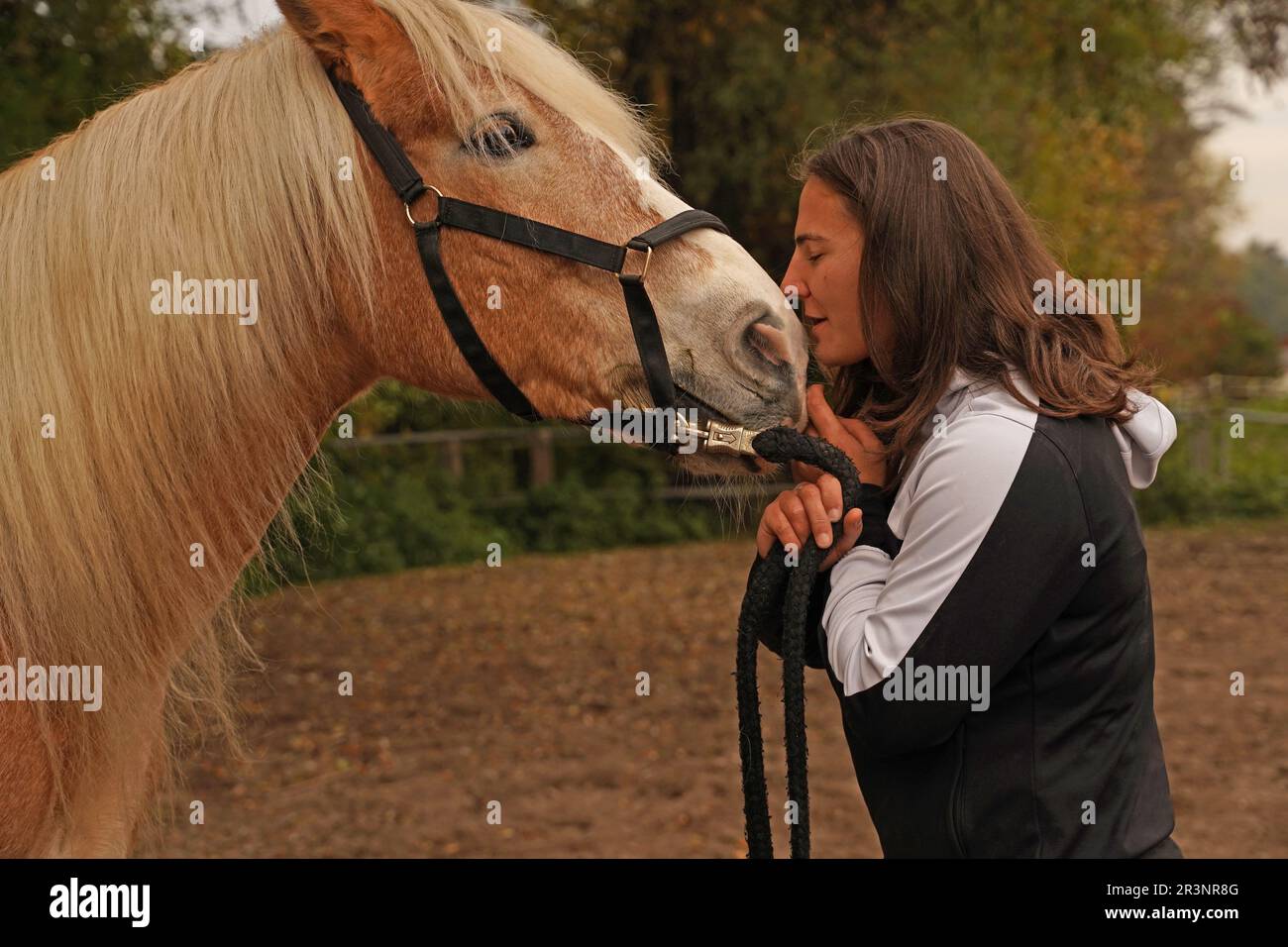 Best friends - light brown Haflinger with beige mane and her rider ...