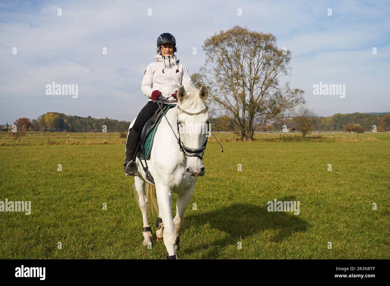 Riding ground hi-res stock photography and images - Alamy