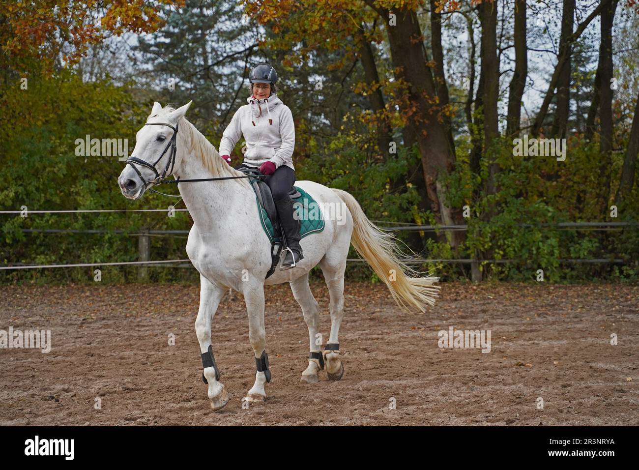 Training with the white horse on a riding ground in autumn Stock Photo ...