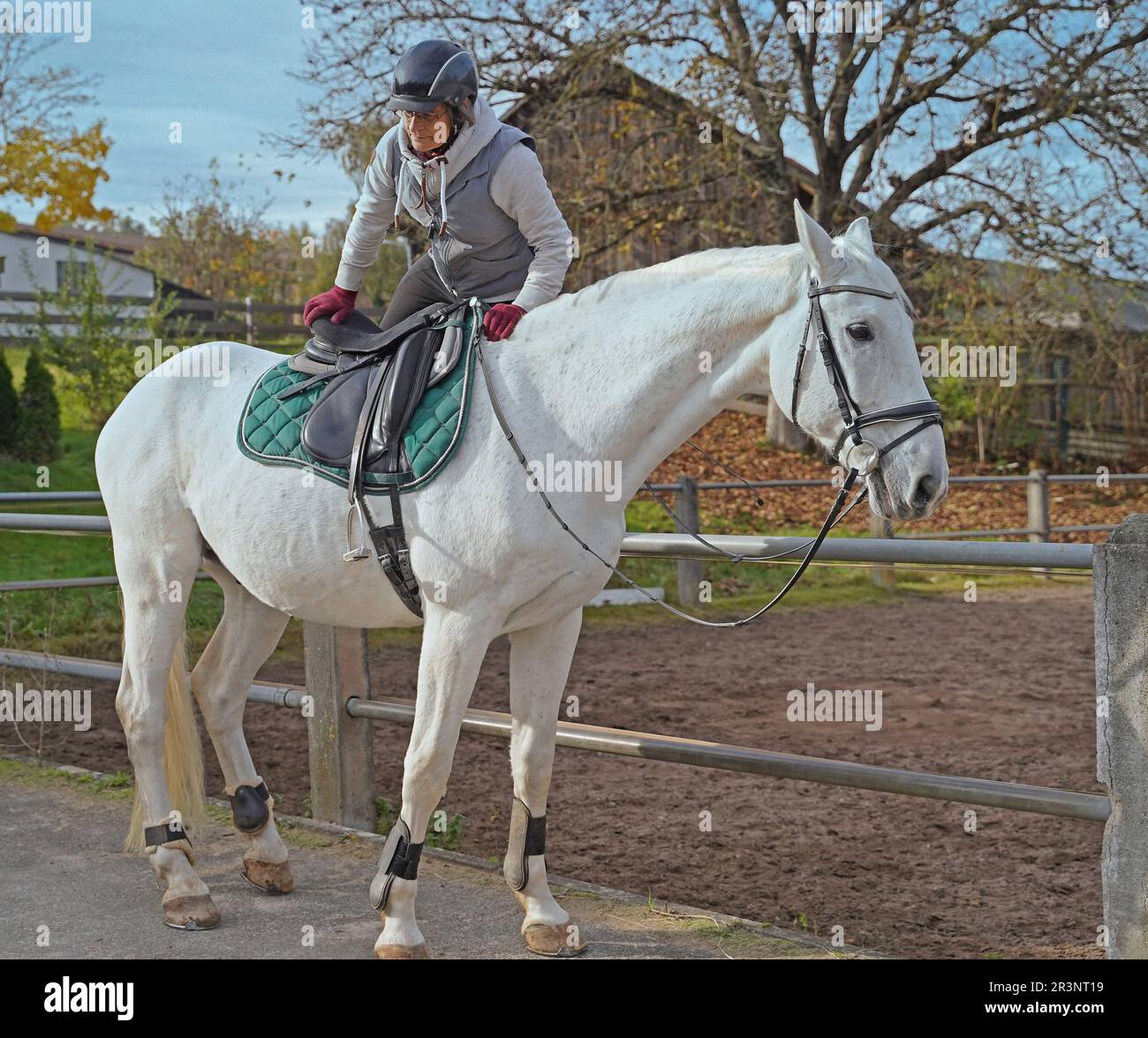 Riding ground hi-res stock photography and images - Alamy