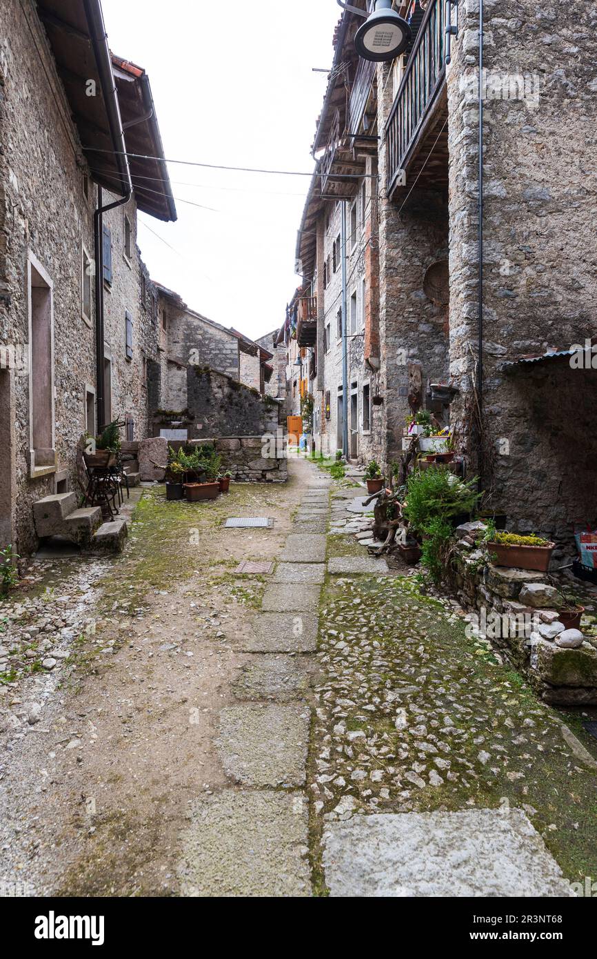 Parco naturale delle dolomiti friulane hi-res stock photography and ...