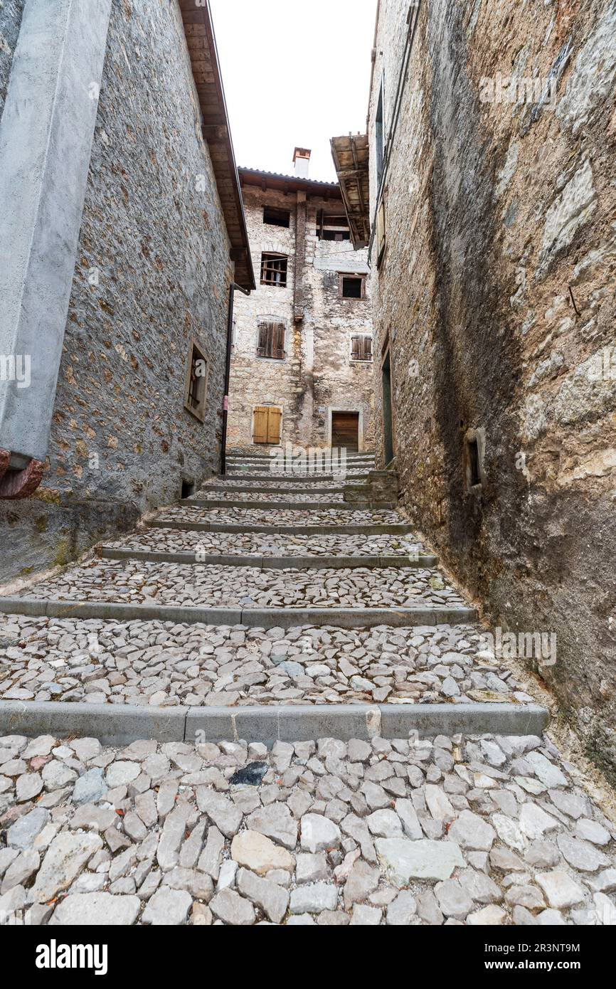 Parco naturale delle dolomiti friulane hi-res stock photography and ...