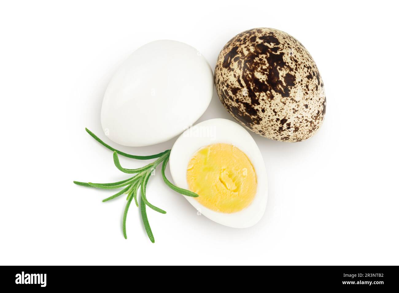 boiled quail egg isolated on white background with full depth of field ...