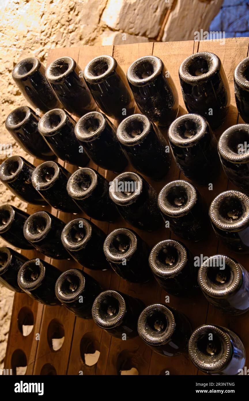 Walking in deep undergrounds caves with bottles on wooden racks ...