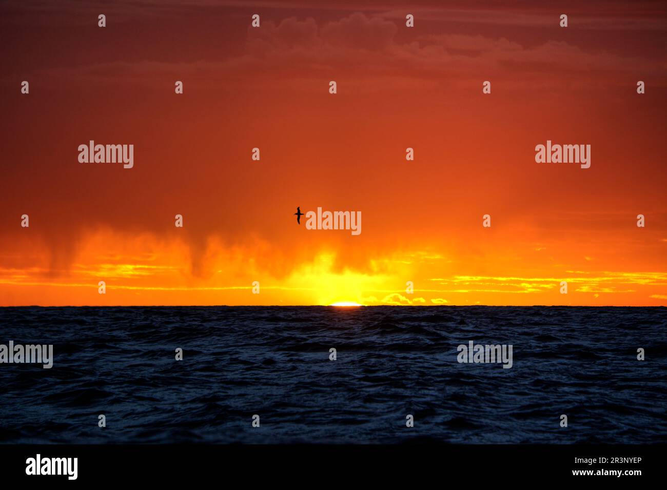 Scarlet sunset over the ocean in Drake's Passage Stock Photo - Alamy
