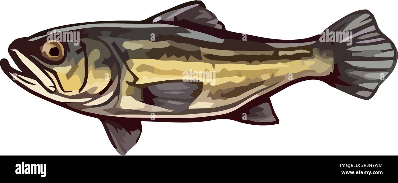 Fish caught in fishing Cut Out Stock Images & Pictures - Alamy