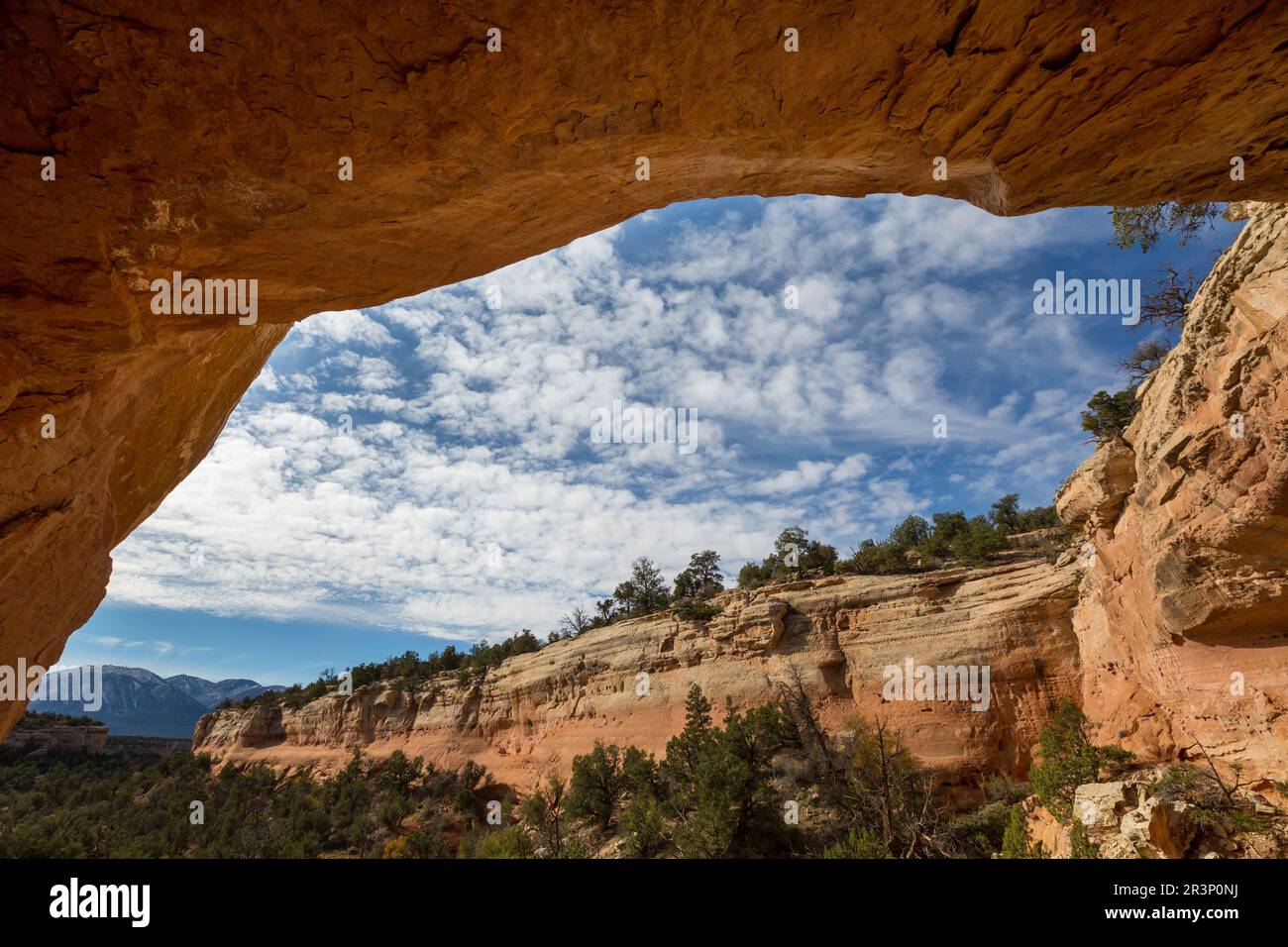Canyon ancients hi-res stock photography and images - Alamy