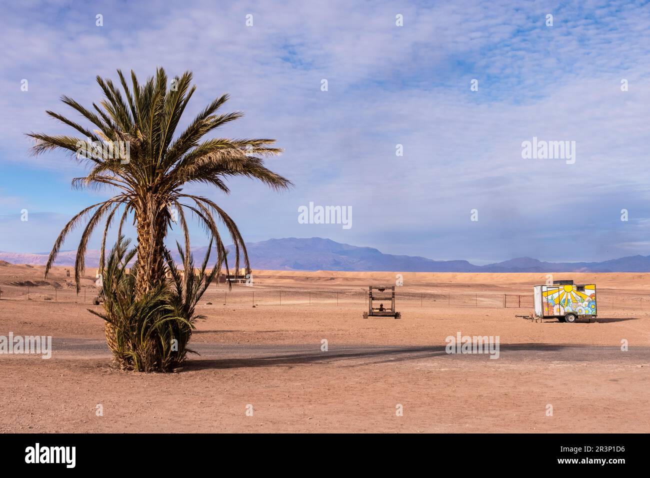 A date palm and abandoned objects in the middle of the hot desert Stock ...