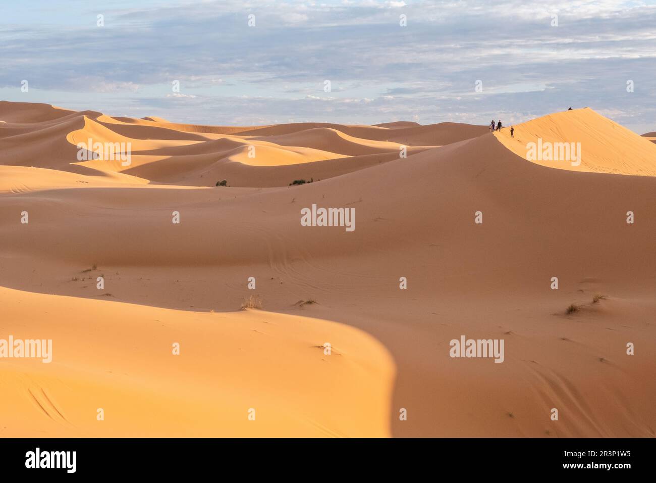 Beautiful sand dunes in the Sahara desert Stock Photo - Alamy