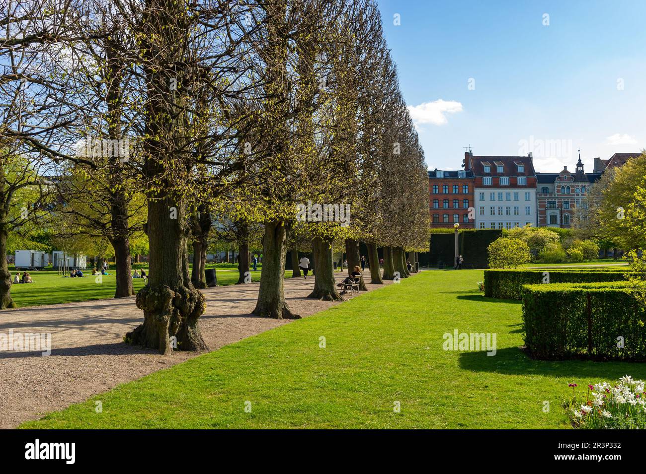 Kongens Have (The kings Garden) Copenhagen, Denmark Stock Photo - Alamy