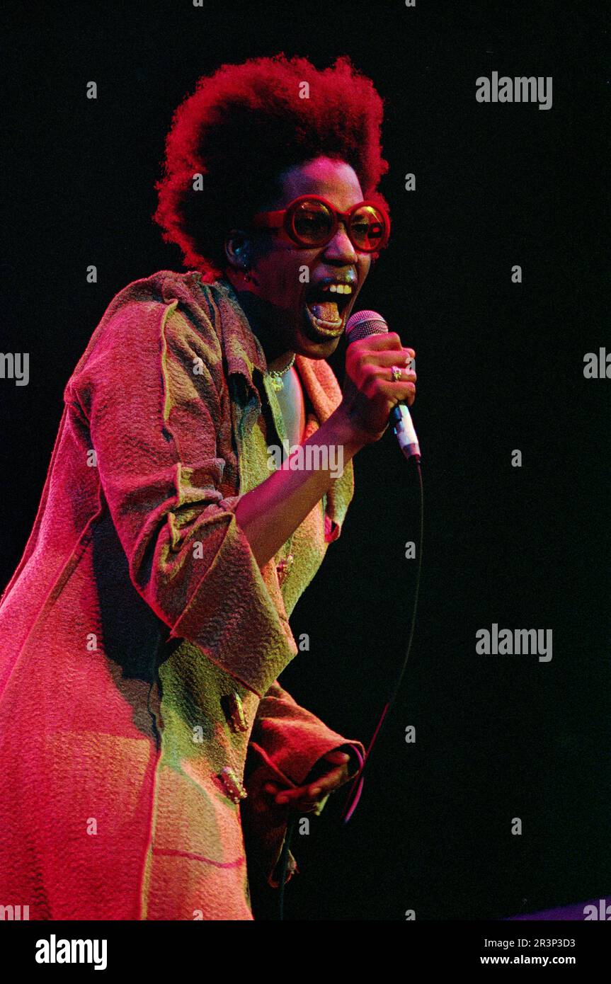 Macy gray pictures hi-res stock photography and images - Alamy