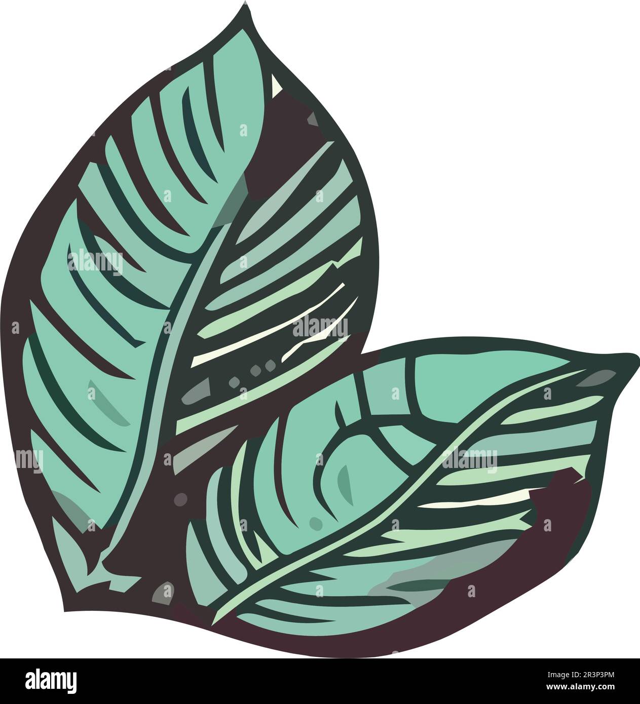 Nature leaf floral design Stock Vector Image & Art - Alamy