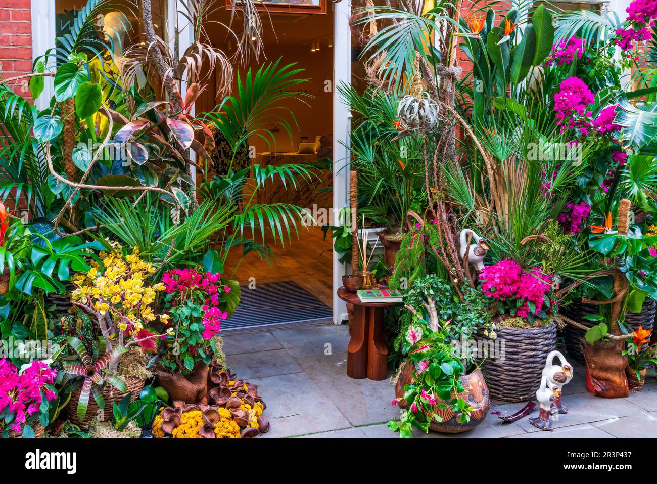 LONDON, UK - MAY 24, 2023: Spectacular floral displays for Chelsea in ...