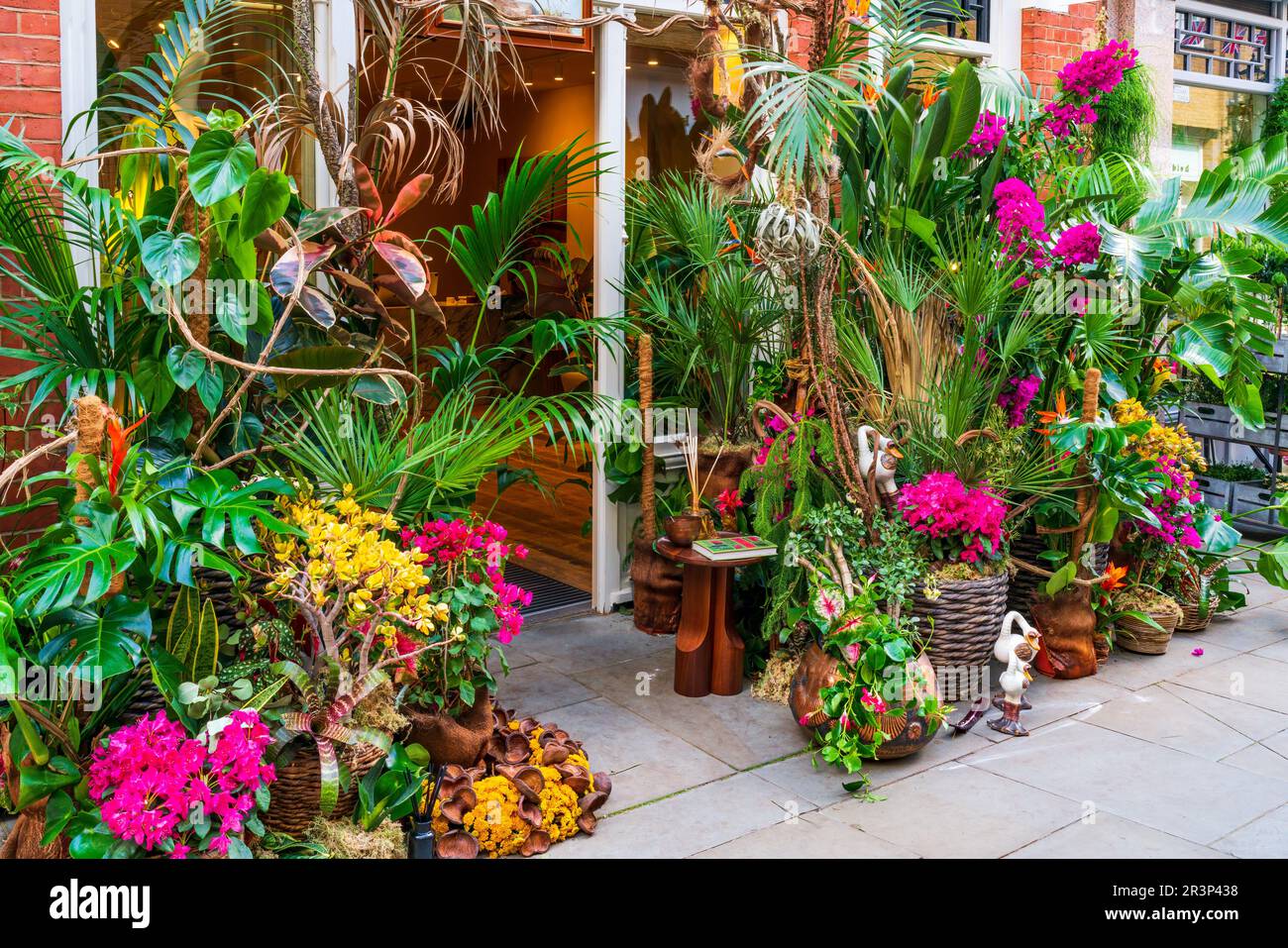 LONDON, UK - MAY 24, 2023: Spectacular floral displays for Chelsea in ...